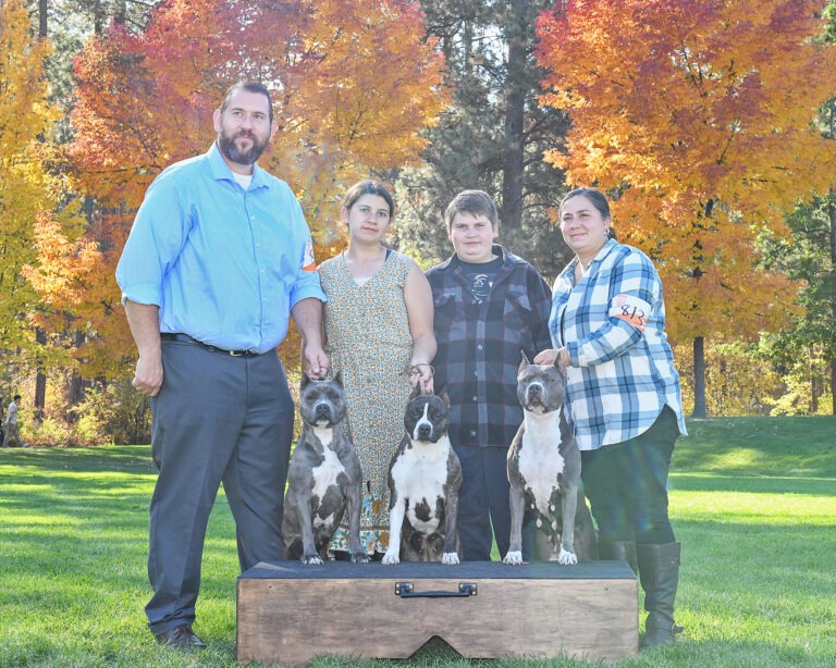 BarTin Kennels - American Pit Bull Terriers